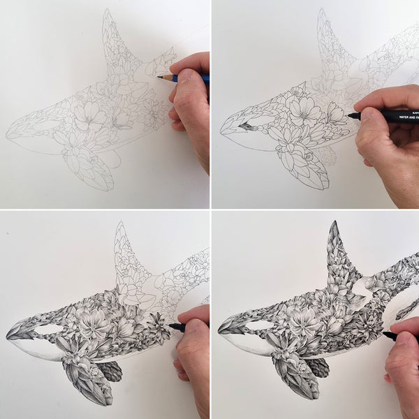 Orca – Limited Edition Print – Marini Ferlazzo - Art for Wildlife