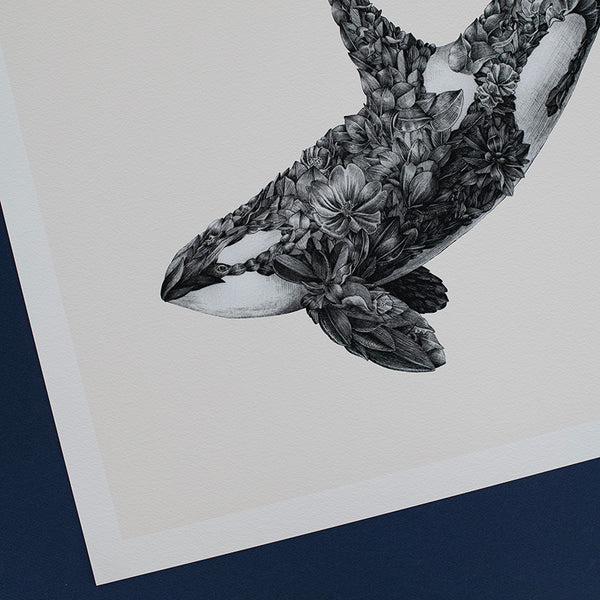 Orca – Limited Edition Print – Marini Ferlazzo - Art for Wildlife
