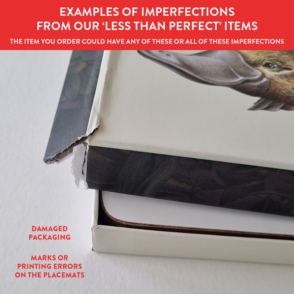 Placemat Set of 4 – Australian Bushwalk (LESS THAN PERFECT ITEM ...