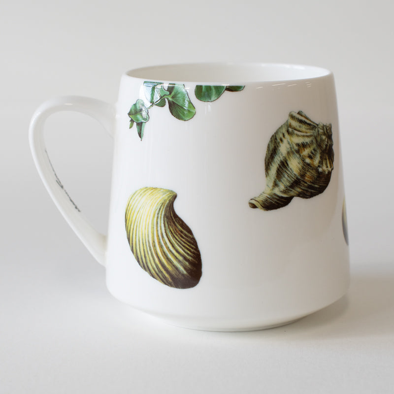 Mug 450ml – Green Sea Turtle (LESS THAN PERFECT ITEM) – Marini Ferlazzo ...
