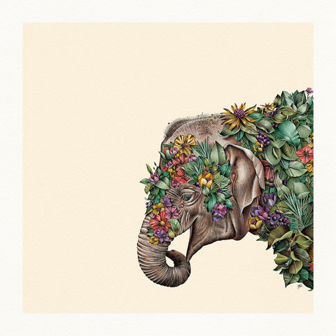 Elephant Collection – Marini Ferlazzo - Art for Wildlife