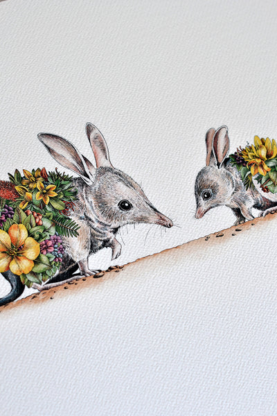 Bilby & Joey - Giclée Print – Marini Ferlazzo - Art for Wildlife