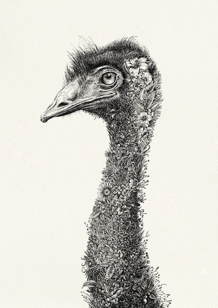Emu - Giclée Print – Marini Ferlazzo - Art for Wildlife