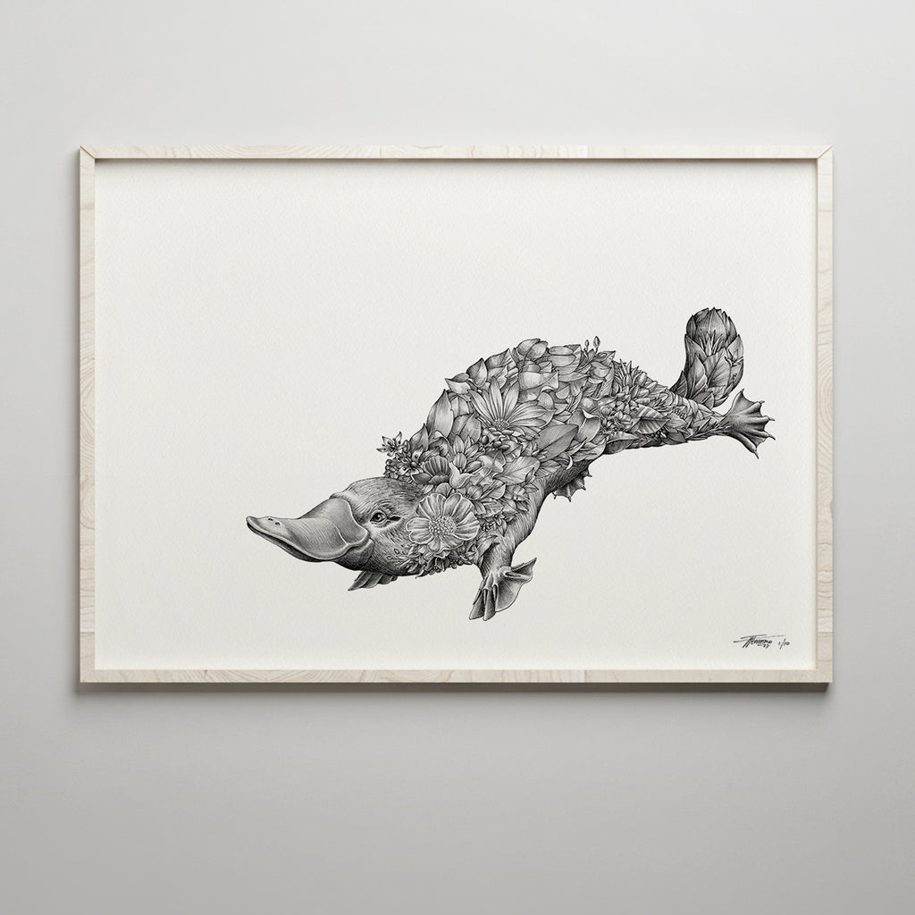 Platypus Bushwalk – Giclée Print – Marini Ferlazzo - Art for Wildlife